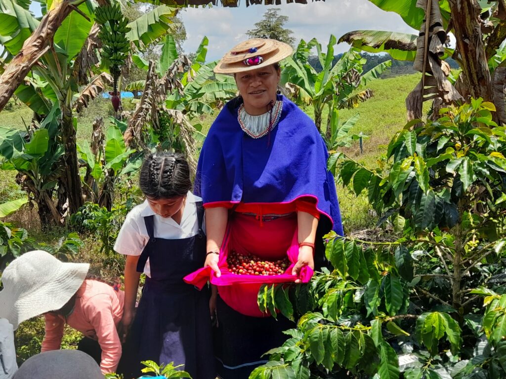 Servicios Complementarios » Comfacauca