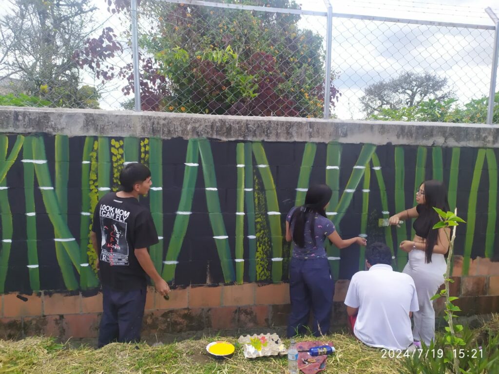 Servicios Complementarios » Comfacauca