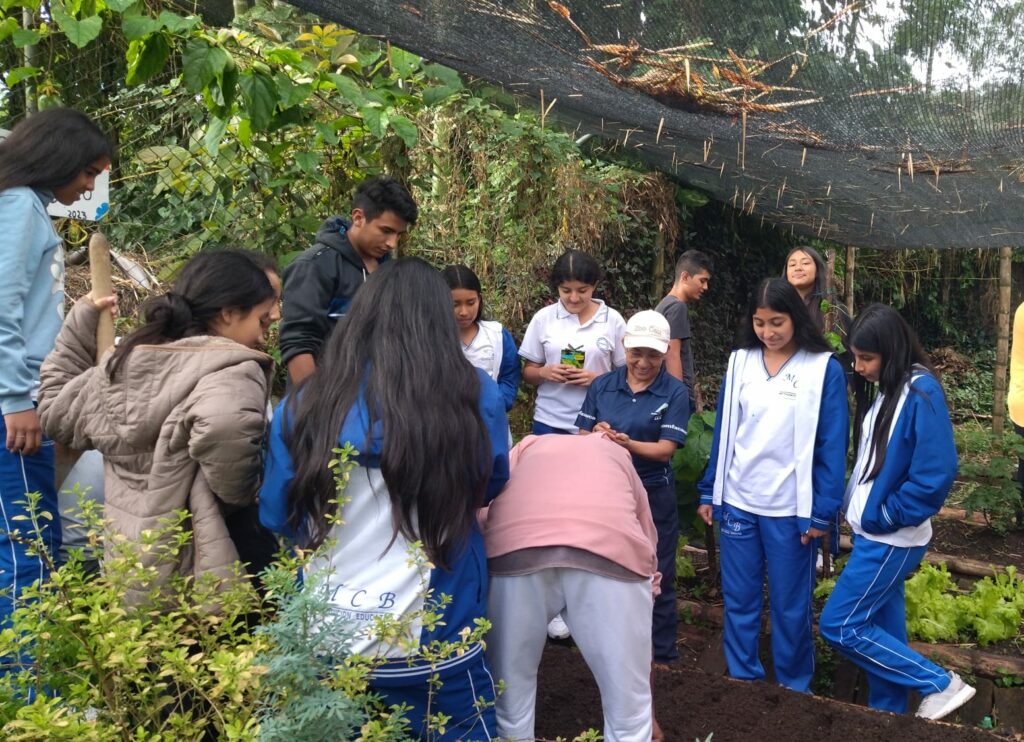 Servicios Complementarios » Comfacauca