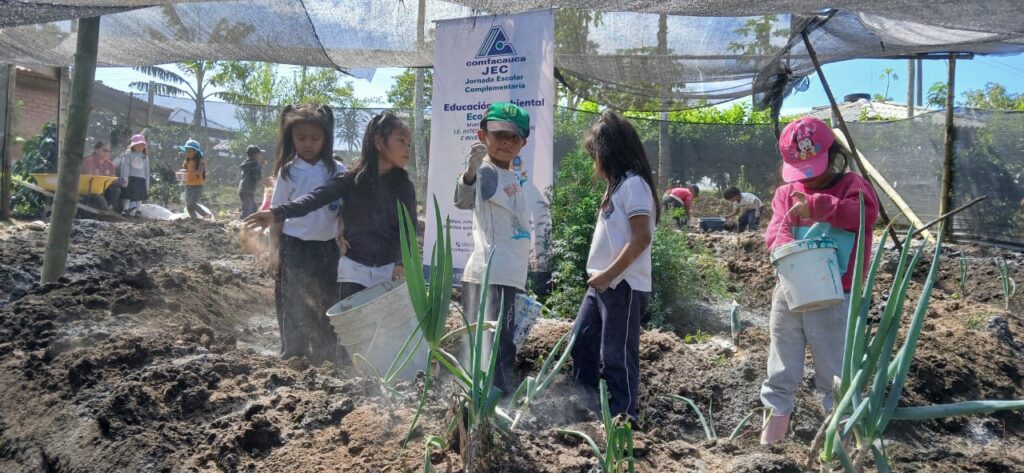 Servicios Complementarios » Comfacauca